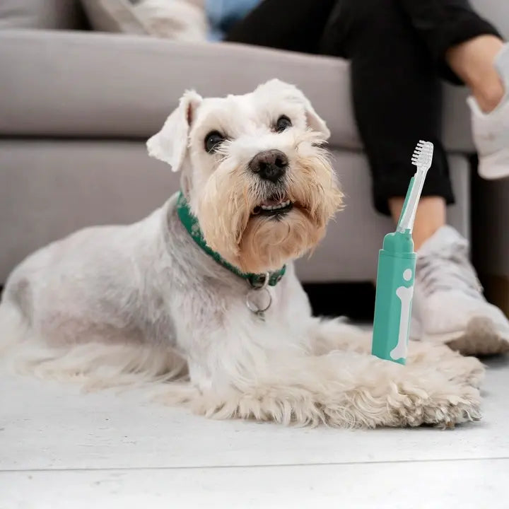 How Our Revolutionary Technology Enhances Your Dog's Dental Health ...